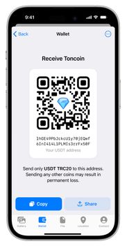 TON Crypto Coin Blockchain Explorer – Price, Wallet · Tonscan